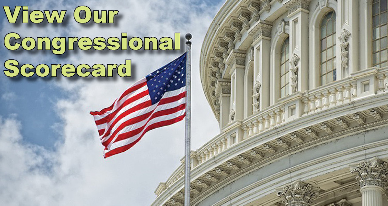 Congressional Scorecard | Freedom First Society
